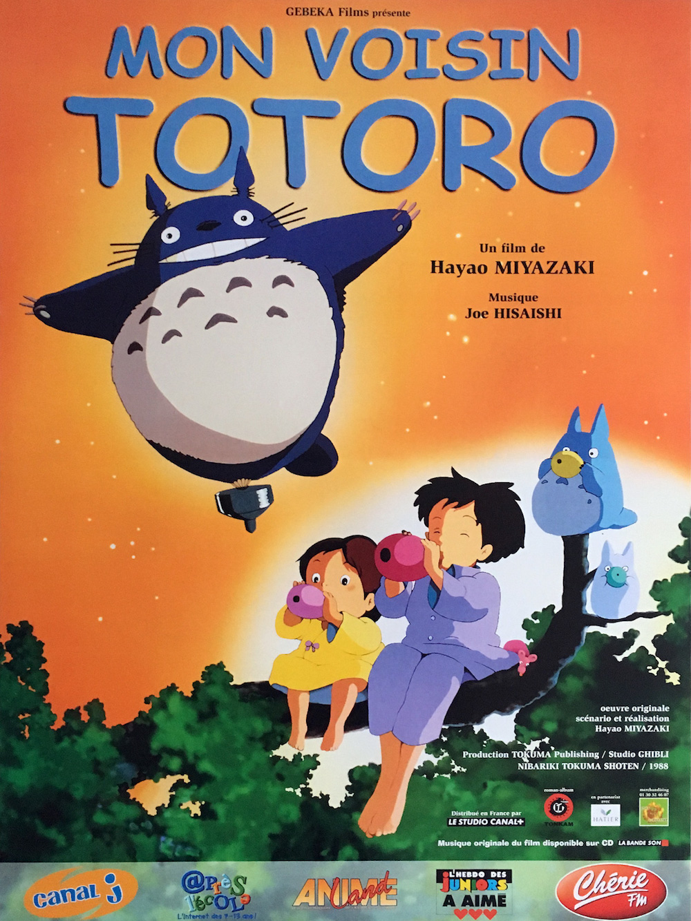 Mon Voisin Totoro Furyosa