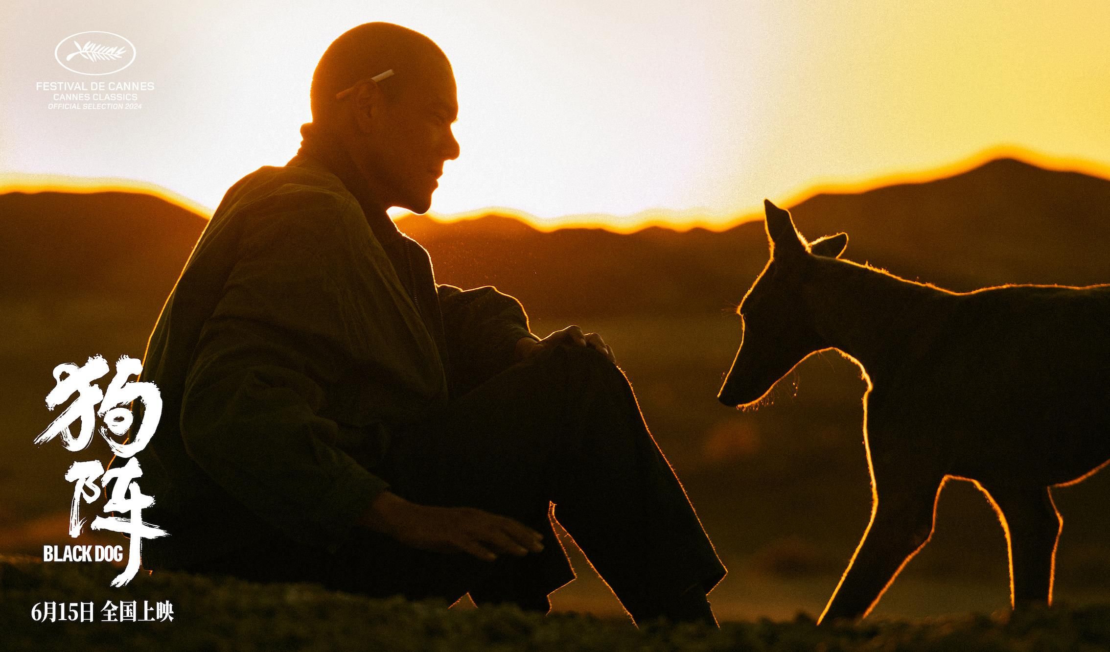 Black Dog : un beau trailer pour le nouveau film de Hu Guan - Furyosa